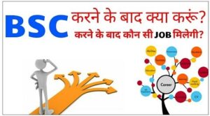 Jobs After BSC | Best Career Options For Students